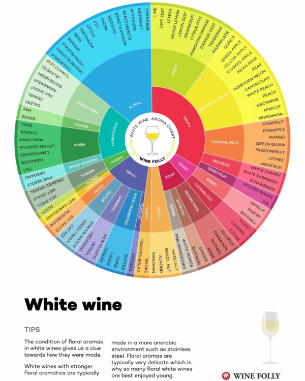 Basic Wine Knowledge: A Sommelier's Beginner Guide