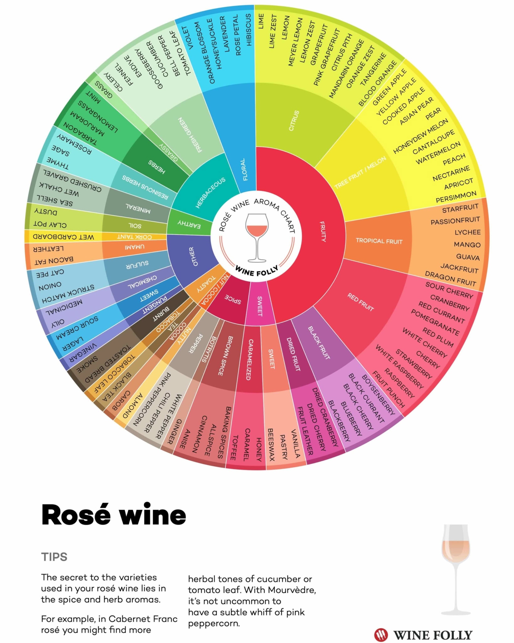 Basic Wine Knowledge: A Sommelier's Beginner Guide