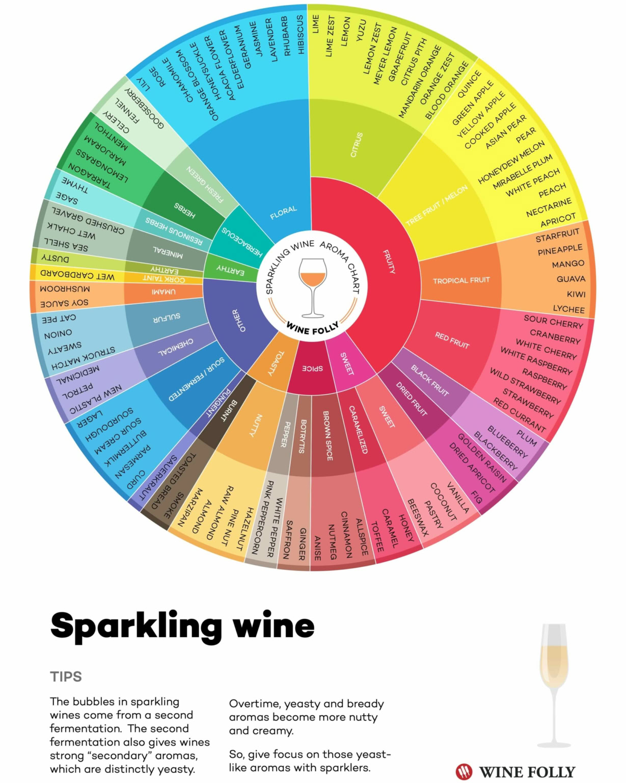 Basic Wine Knowledge for Beginners: A Sommelier Guide | The Gourmet Host