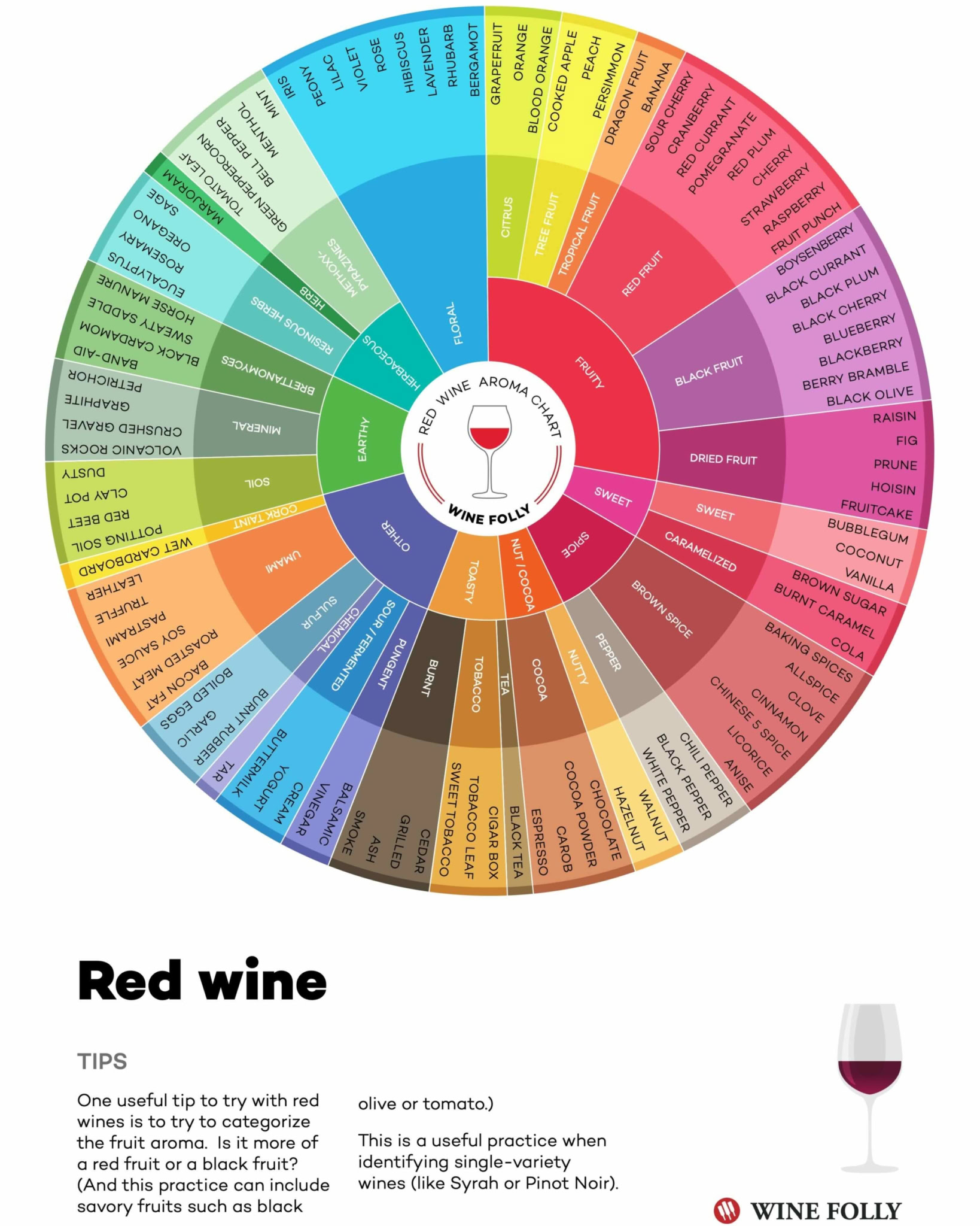 Basic Wine Knowledge for Beginners: A Sommelier Guide | The Gourmet Host