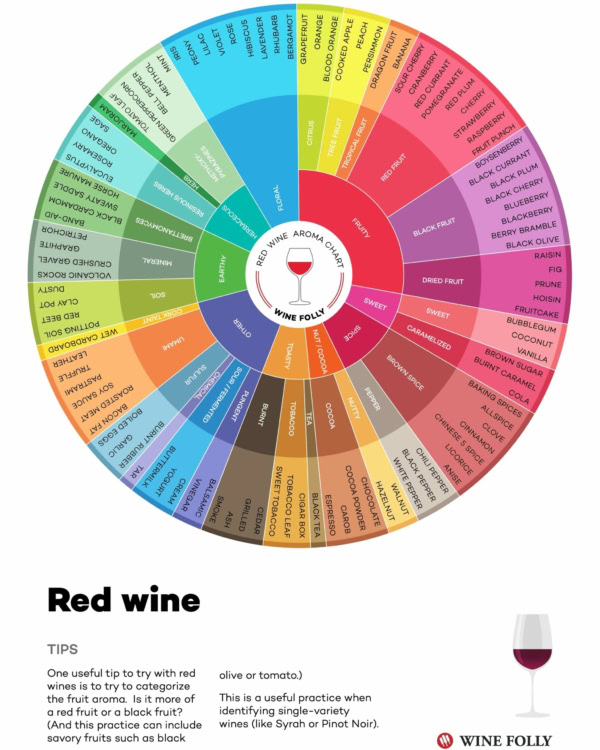 Basic Wine Knowledge for Beginners: A Sommelier Guide | The Gourmet Host